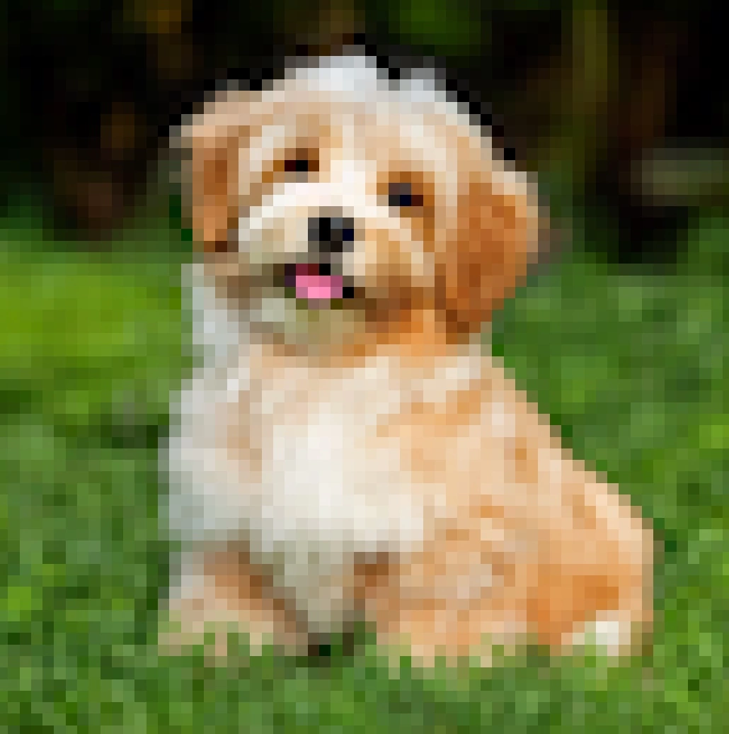 Clarity AI | #1 AI Image Upscaler & Enhancer